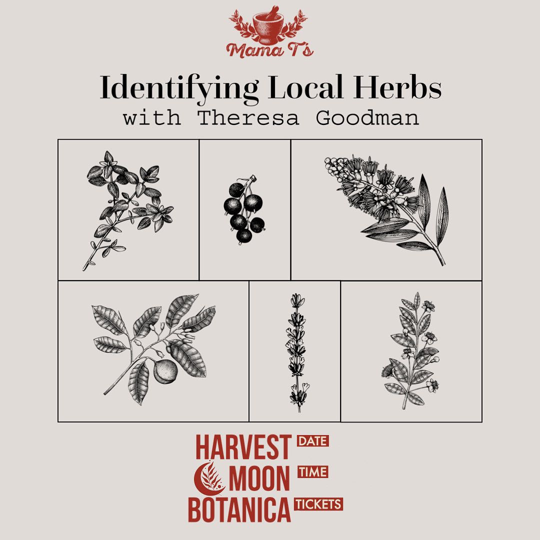 Urban Foraging – Identifying Local Herbs and Edible Plants | Harvest ...